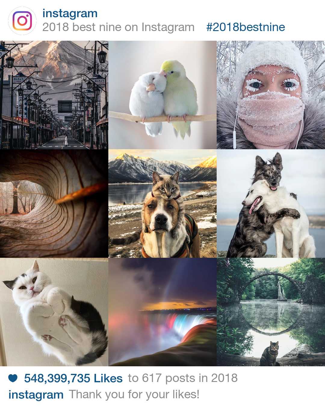2018 BEST NINE﻿ รวม 9 รูป Instagram ที่ดีที่สุดของคุณในปี 2018